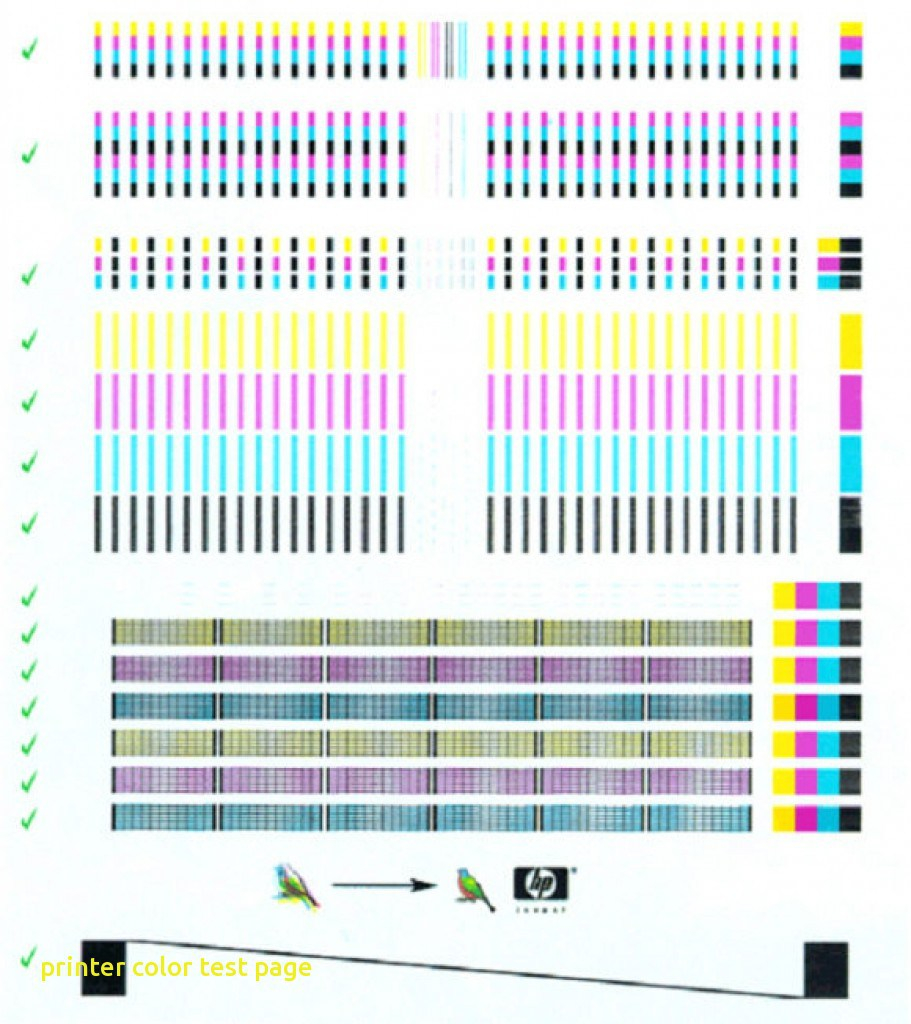 Color Printer Test Page How To Print A Test Page Windows 10 Youtube 