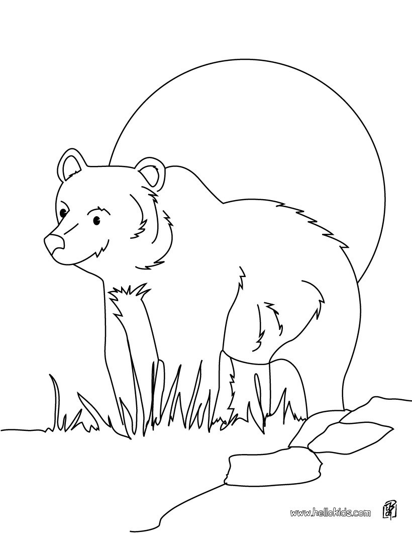 Forest Animals Coloring Pages Forest Animals Coloring Pages 37 All The Forest Animals Coloring Pages Forest Animals Coloring Pages 37 All The