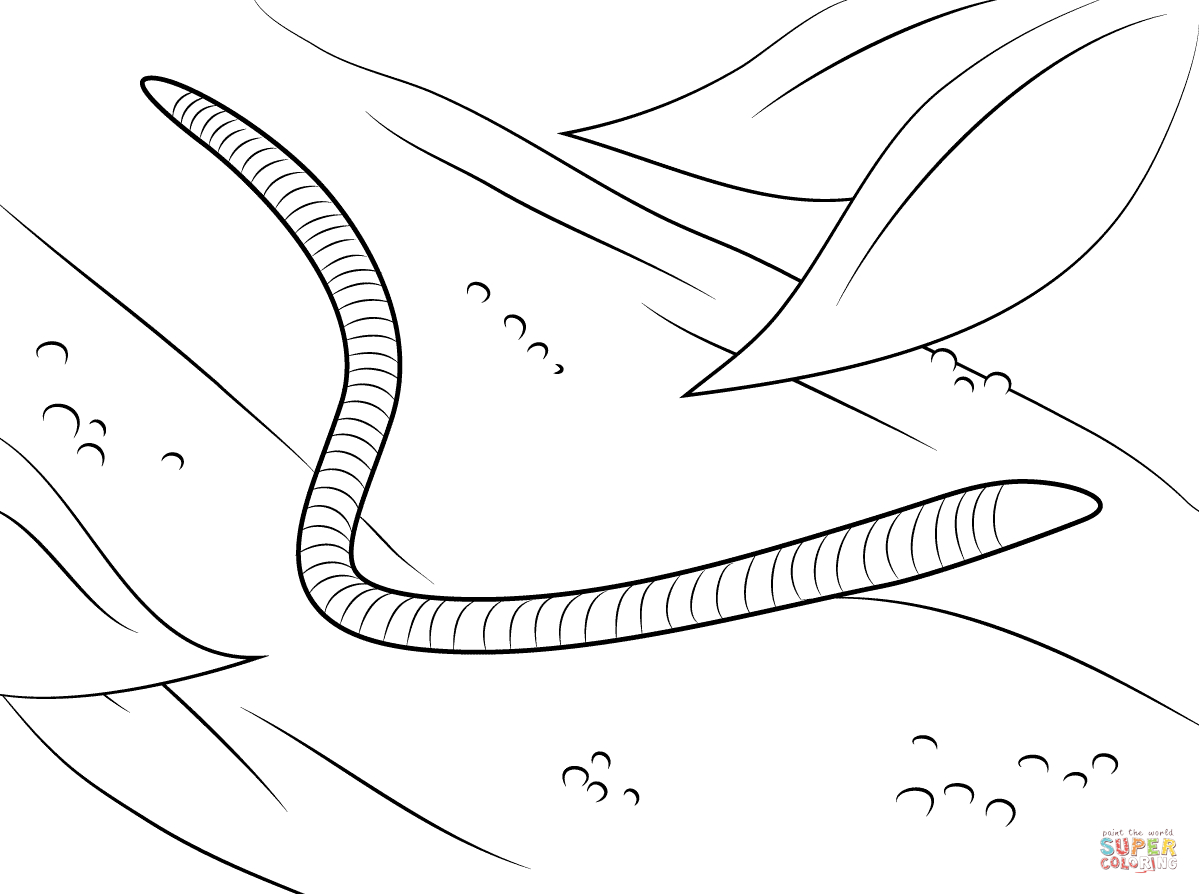 Worm Coloring Pages Worm Coloring Page Free Printable Coloring Pages ...